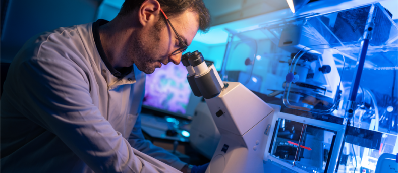 Brochure highlights success of Biodiscovery Institute – Campus News